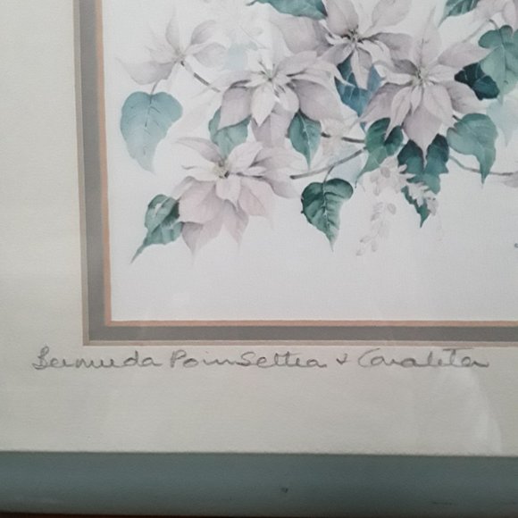 Carole Holding Artist | Art | Vintage Watercolor Signed By Bermuda ...